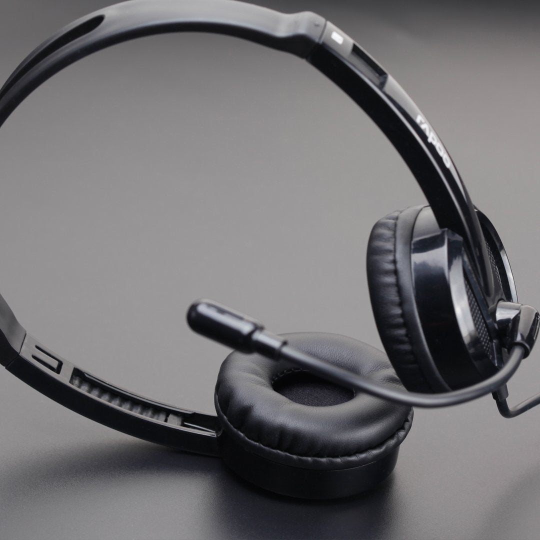 Rapoo Headset Wired Stereo Plus (H100)